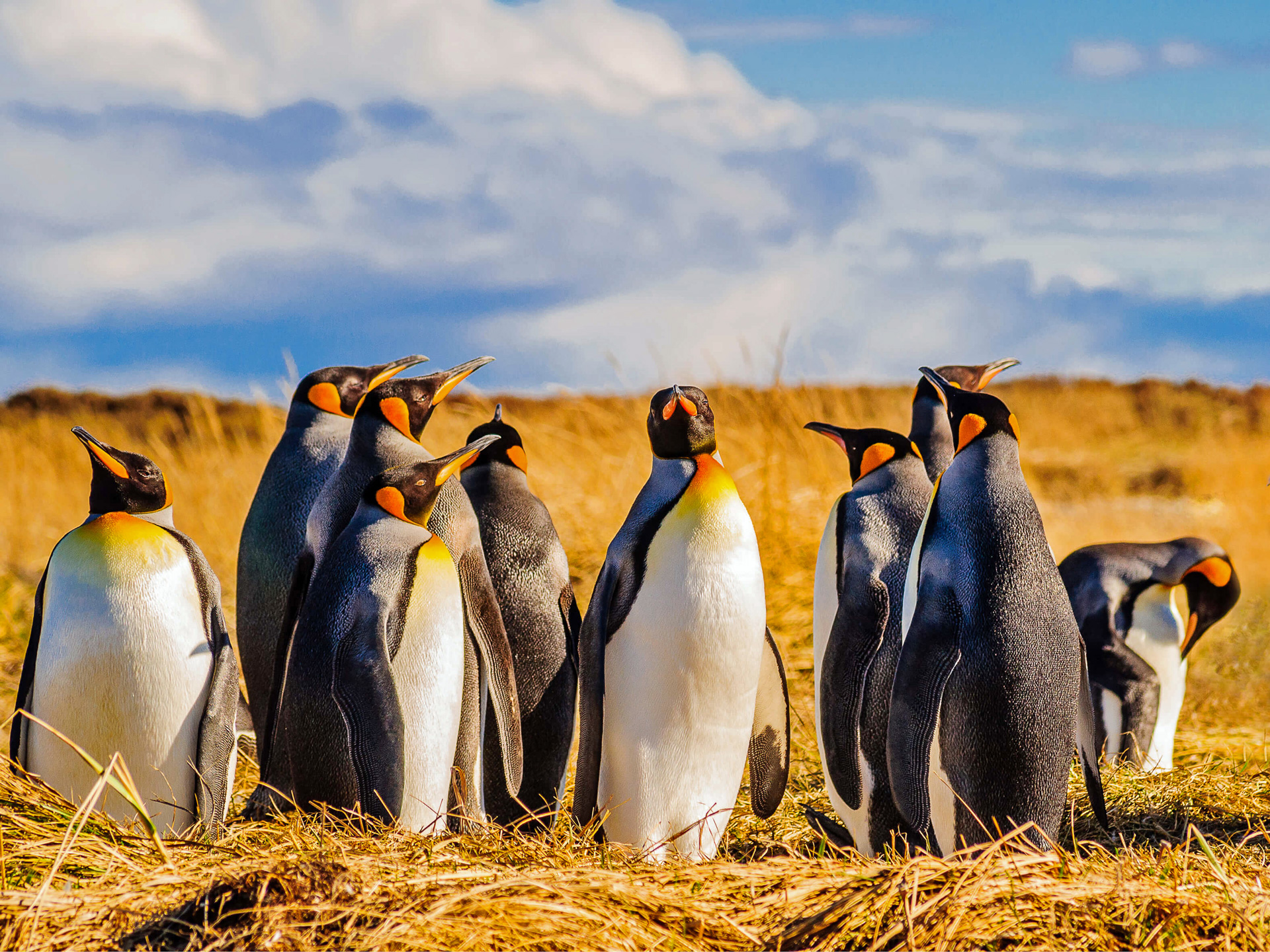 Tour Argentina & Patagonia con Stefania Morandi - Agenzia Viaggi Varese ...