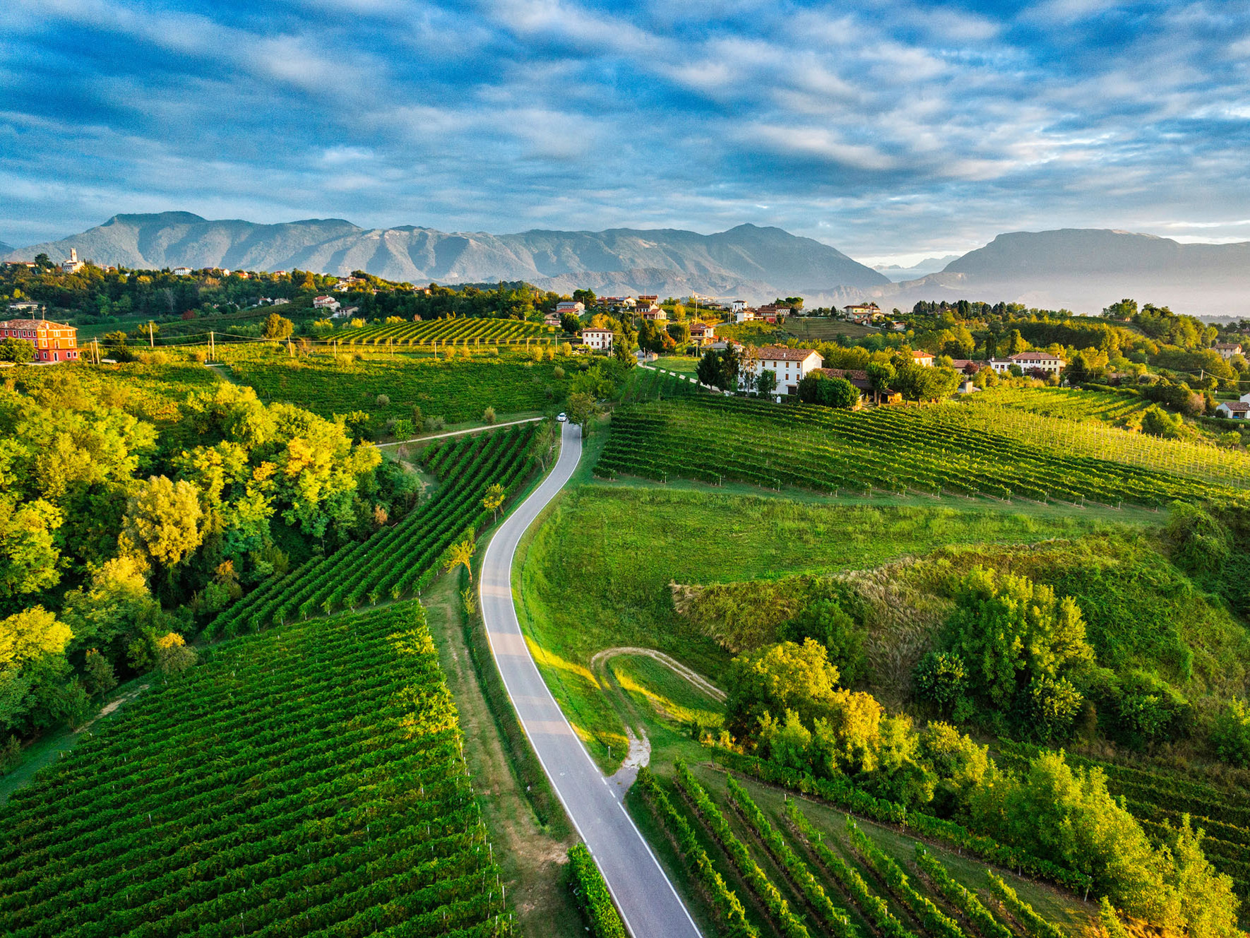 La strada del prosecco: tour storico-gastronomico e visita alle cantine ...